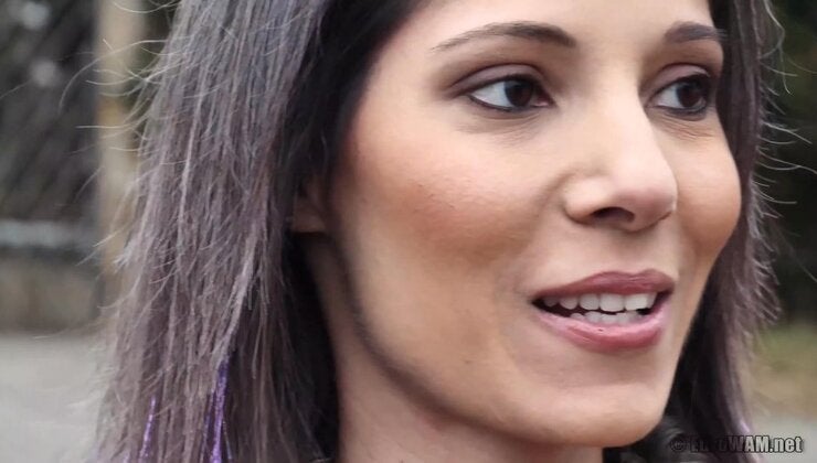 T1132c2 Trailer | WAM TV