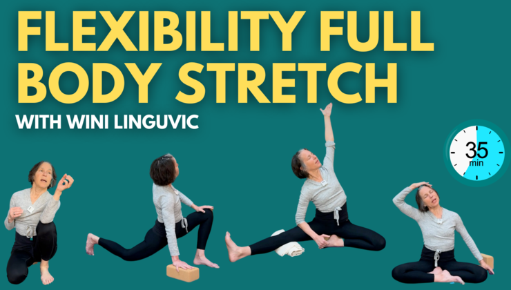 Flexibility Full Body April 3 2024 | The Elevate Practice