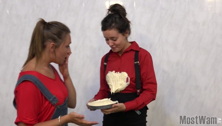 Mia and Charlotte Kids TV Show Pie Mess | CustomWam