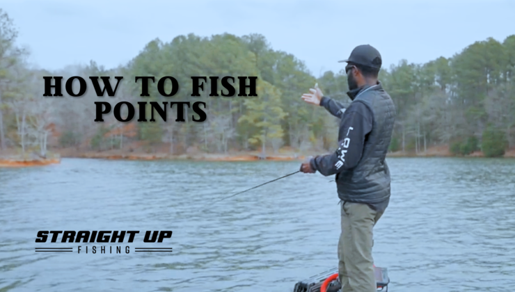 How To Fish Points
