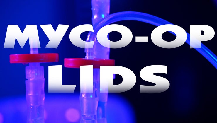 Myco-Oplids | MycoWizards