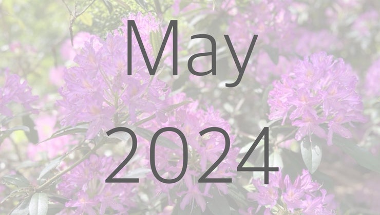 May Movement Calendar 2024