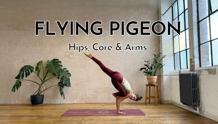Flying Pigeon - Hips, Abs, and Arms