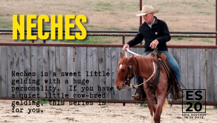 ES20 Colt Starting Neches