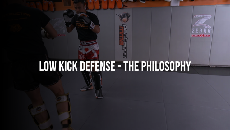 Low Kick Defense: The Philosophy