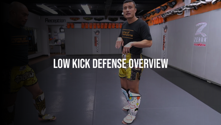 Master the Low Kick: Low Kick Defense Overview
