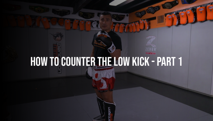 How to Counter the Low Kick: Part 1