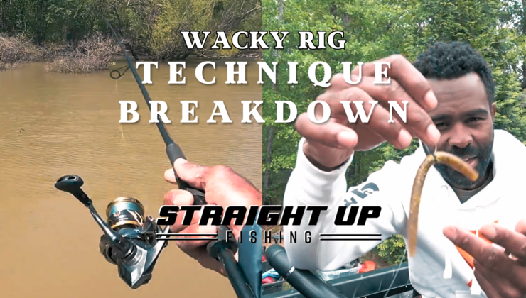 Breakdown Wacky Rig