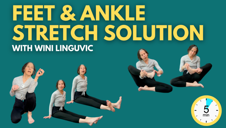 Feet And Ankle Stretch Solution | The Elevate Practice