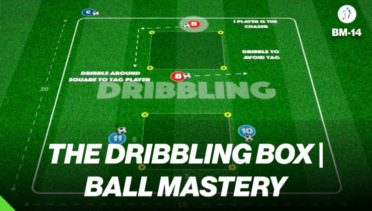 The Dribbling Box | BM-14