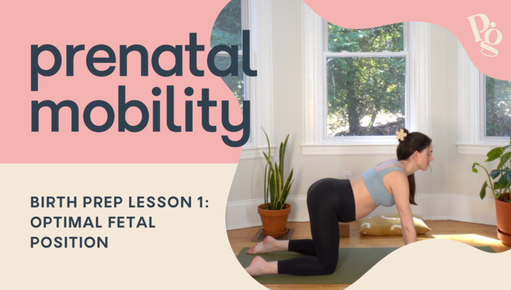 3rd Trimester Birth Prep Lesson 1: Optimal Fetal Position