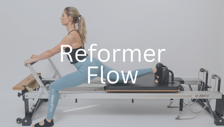 Beginner/Intermediate Reformer Workouts