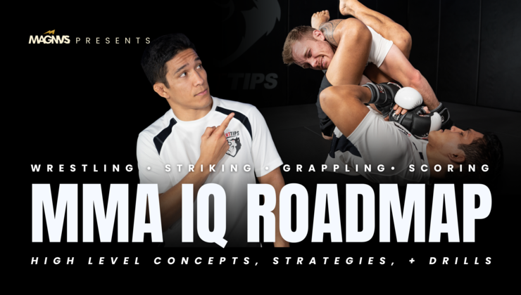 MMA IQ Roadmap