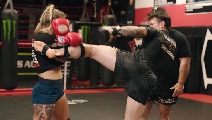 The Complete CSA Gym Striking System