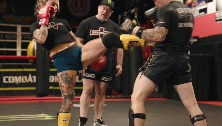 The Complete CSA Gym Striking System