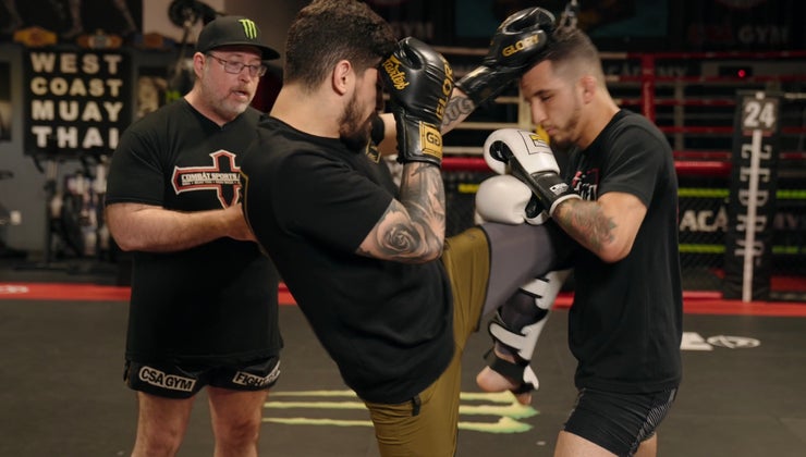 The Complete CSA Gym Striking System