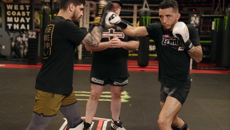 The Complete CSA Gym Striking System