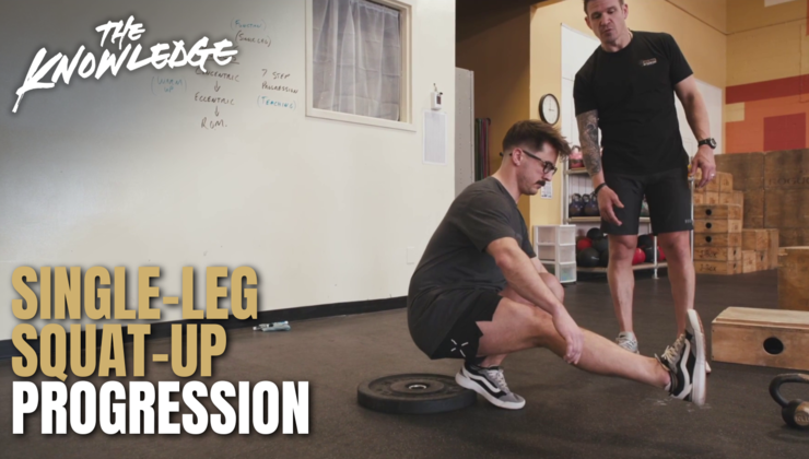 Single-Leg Squat Progression