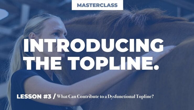 Introduction to Horse's Topline with Ansley Bevan
