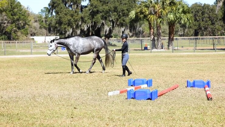 [Easiest] Walking Ground Poles and Raised Poles with Ansley Bevan