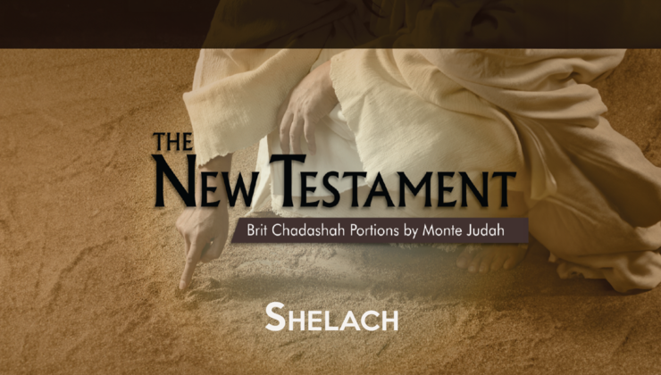 Shelach | Brit Chadashah | Monte Judah