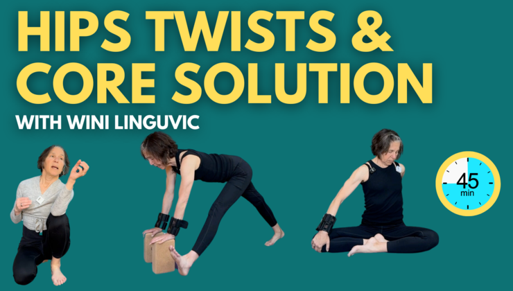 Hips Twist Core Solution | The Elevate Practice