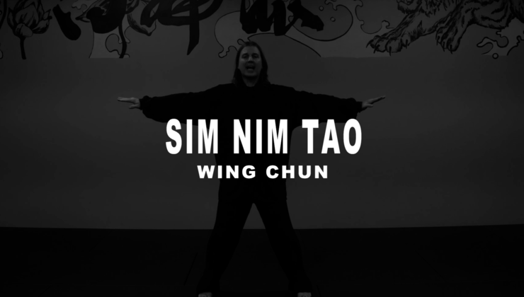 Sim Nim Tau Form Breakdown