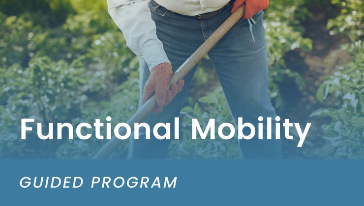 Functional Mobility 28 Day Guided Program