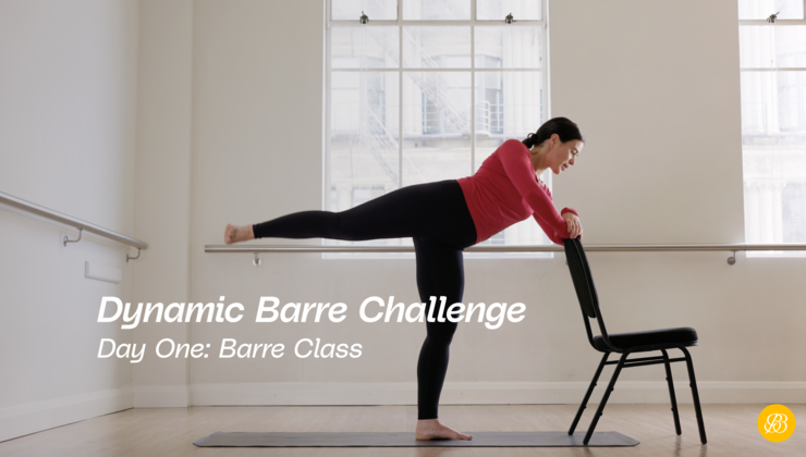 Dynamic Barre Challenge - Day 1 Barre Class | Barre Base Anywhere