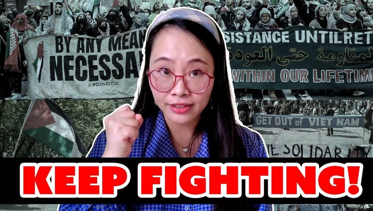 Revolutionary Optimism and Student Protests: from Vietnam to Palestine ...