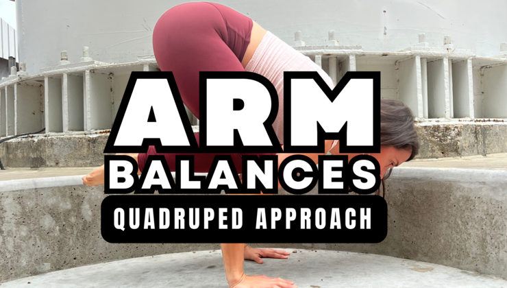A Quadruped Approach to Arm Balances