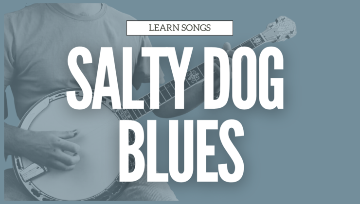 4 Levels of Salty Dog Blues | Learn Songs