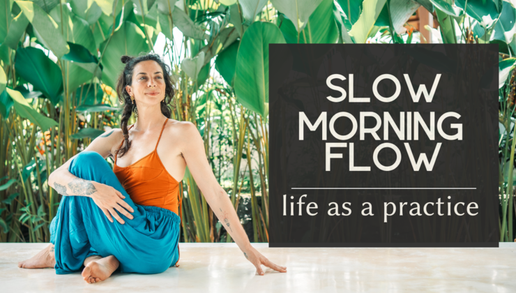 Life as a Practice ~ Slow Morning Yoga Flow | CCY Studio