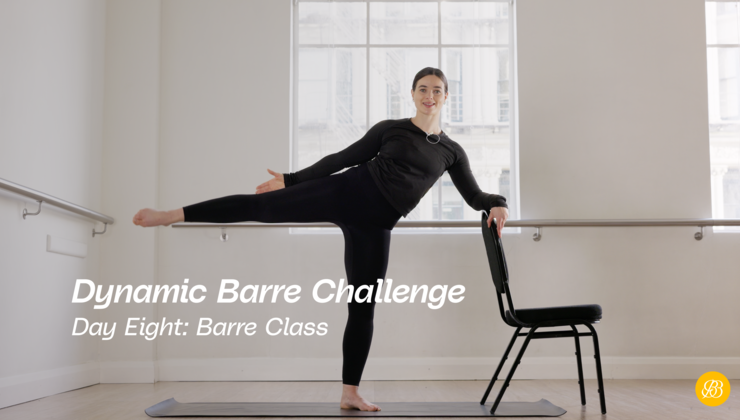 Dynamic Barre Challenge - Day 8 Barre Class | Barre Base Anywhere
