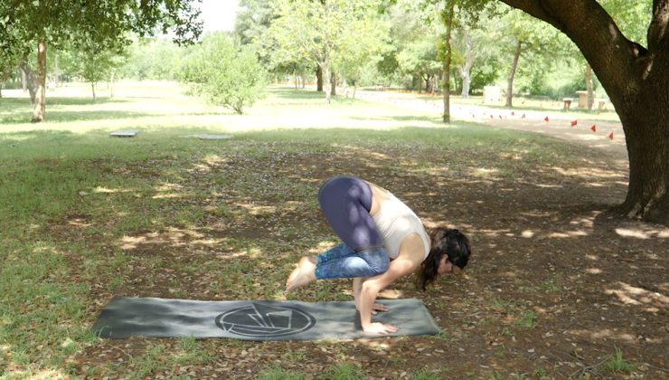 Quadruped Series Video 4