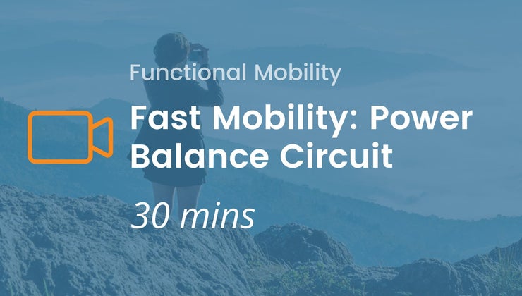 Power Balance Circuit