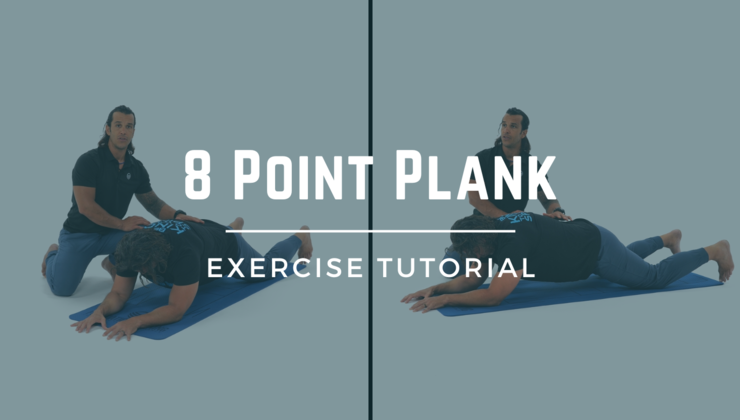 8 Point Plank Tutorial