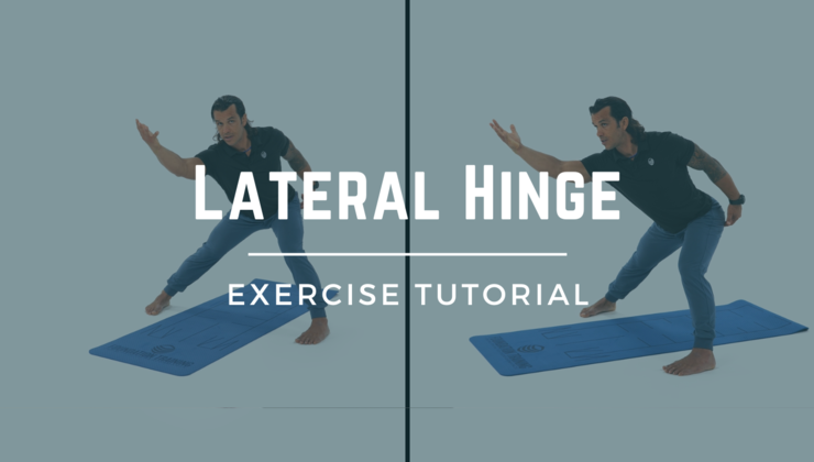 Lateral Hinge Tutorial