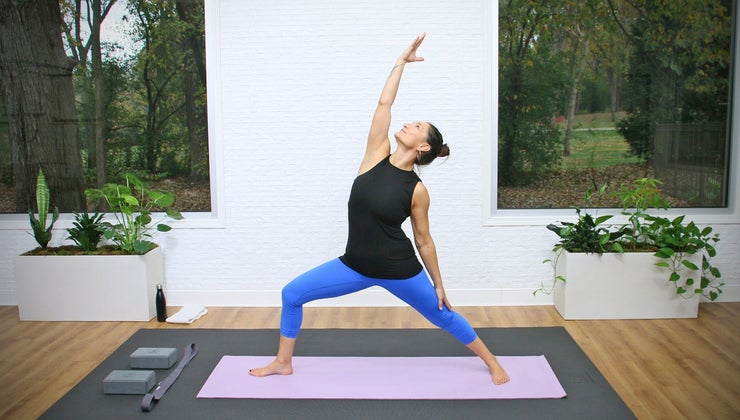 Intermediate Yoga & Pilates Mat Fusion (video)