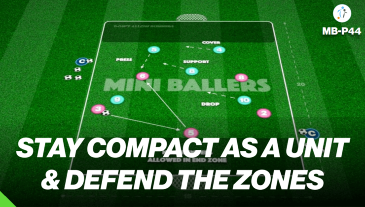 Defend the Zones Mini Ballers P44