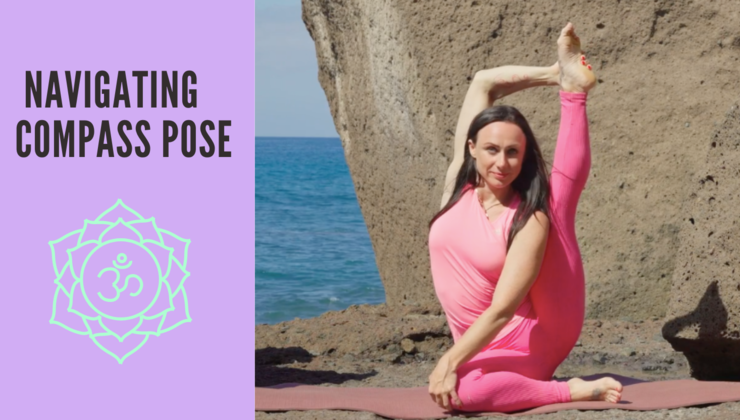 Navigating Compass pose | Align