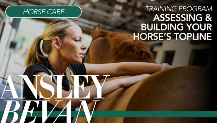 Ansley Bevan Teaches Assessing & Building Your Horse's Topline
