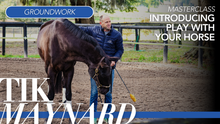 Tik Maynard Teaches Introducing Play with Your Horse