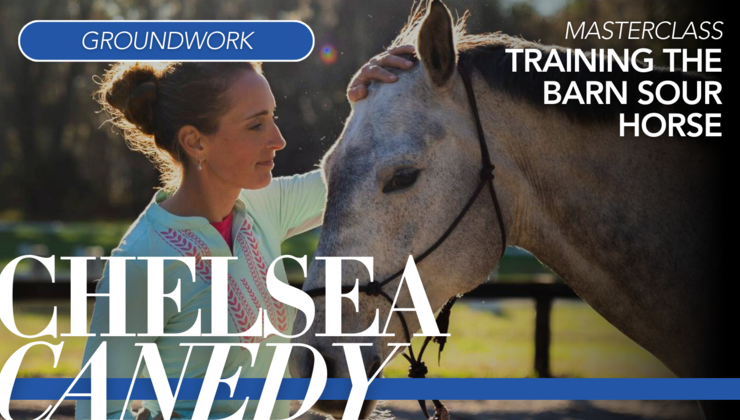 Chelsea Canedy Teaches Training the Barn Sour Horse
