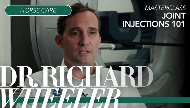 Dr. Richard Wheeler Teaches Joint Injections 101