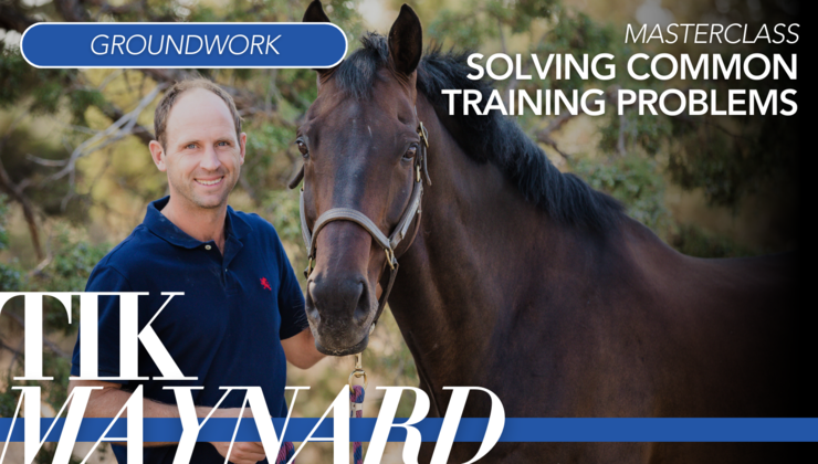 Tik Maynard Teaches Solving Common Training Problems