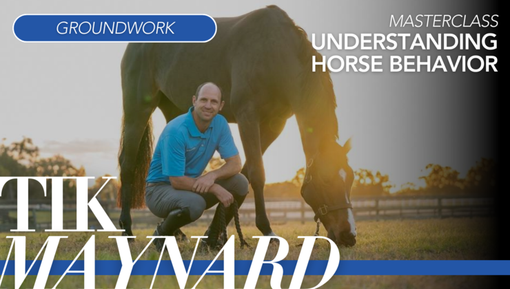Tik Maynard Teaches Understanding Horse Behavior