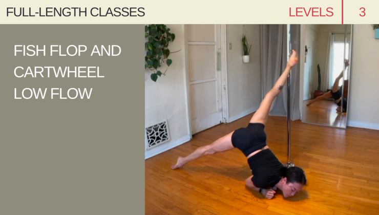 Fish Flop & Cartwheel Flows