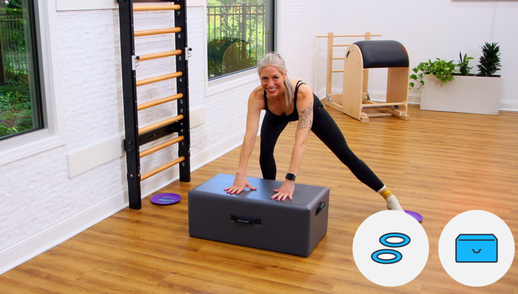 Sculpt and Slide Workout #11 Full Body with Box (video)