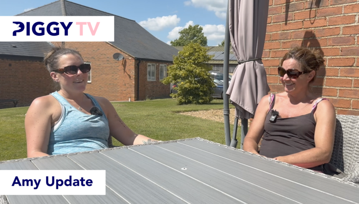 Amy Update | Piggy TV